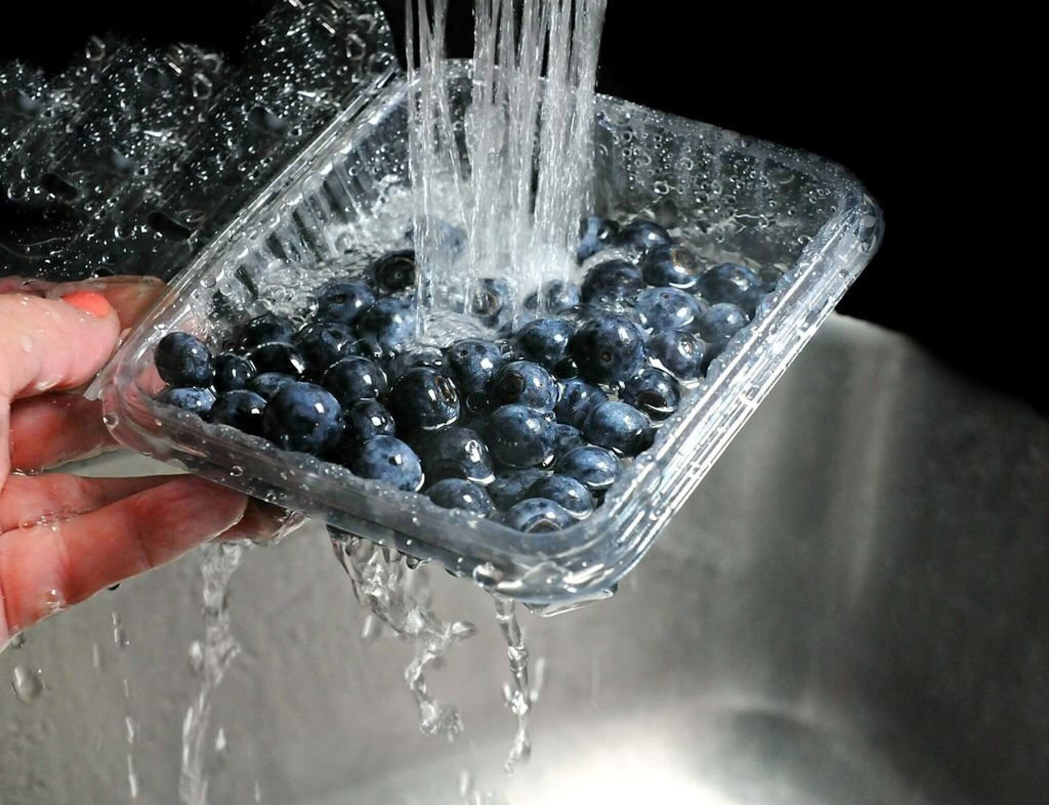 ⏱How Long Do Blueberries Last: A Detailed Guide